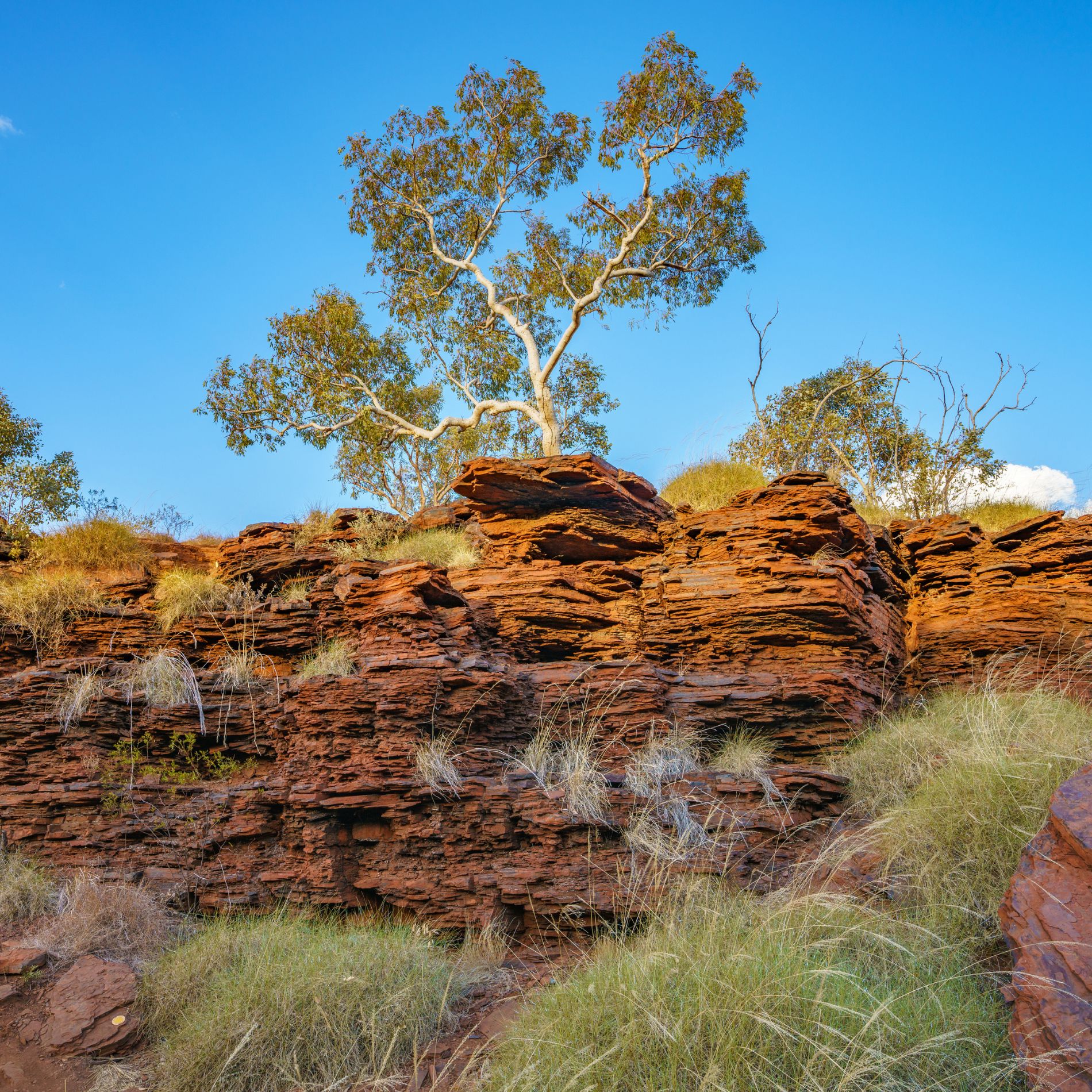 Acknowledgment of Country